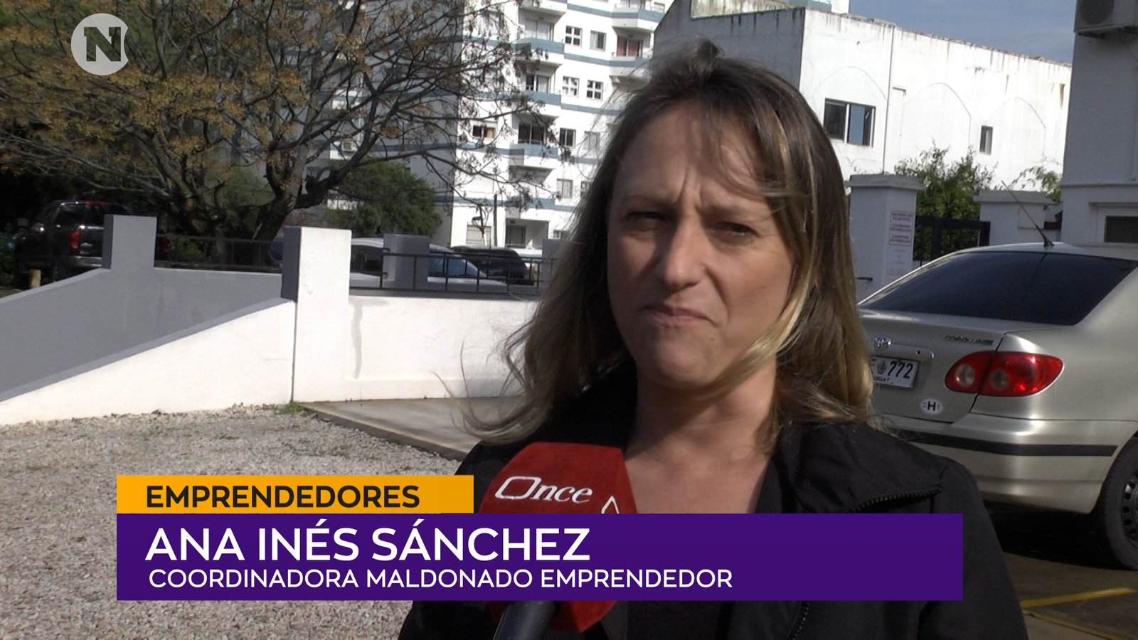 “LABORATORIO DE IDEAS” | Ana Inés Sánchez – Coordinadora Maldonado ...