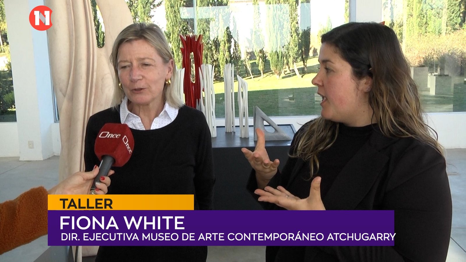 TALLER | Fiona White – Directora Ejecutiva Museo de Arte Contemporáneo ...