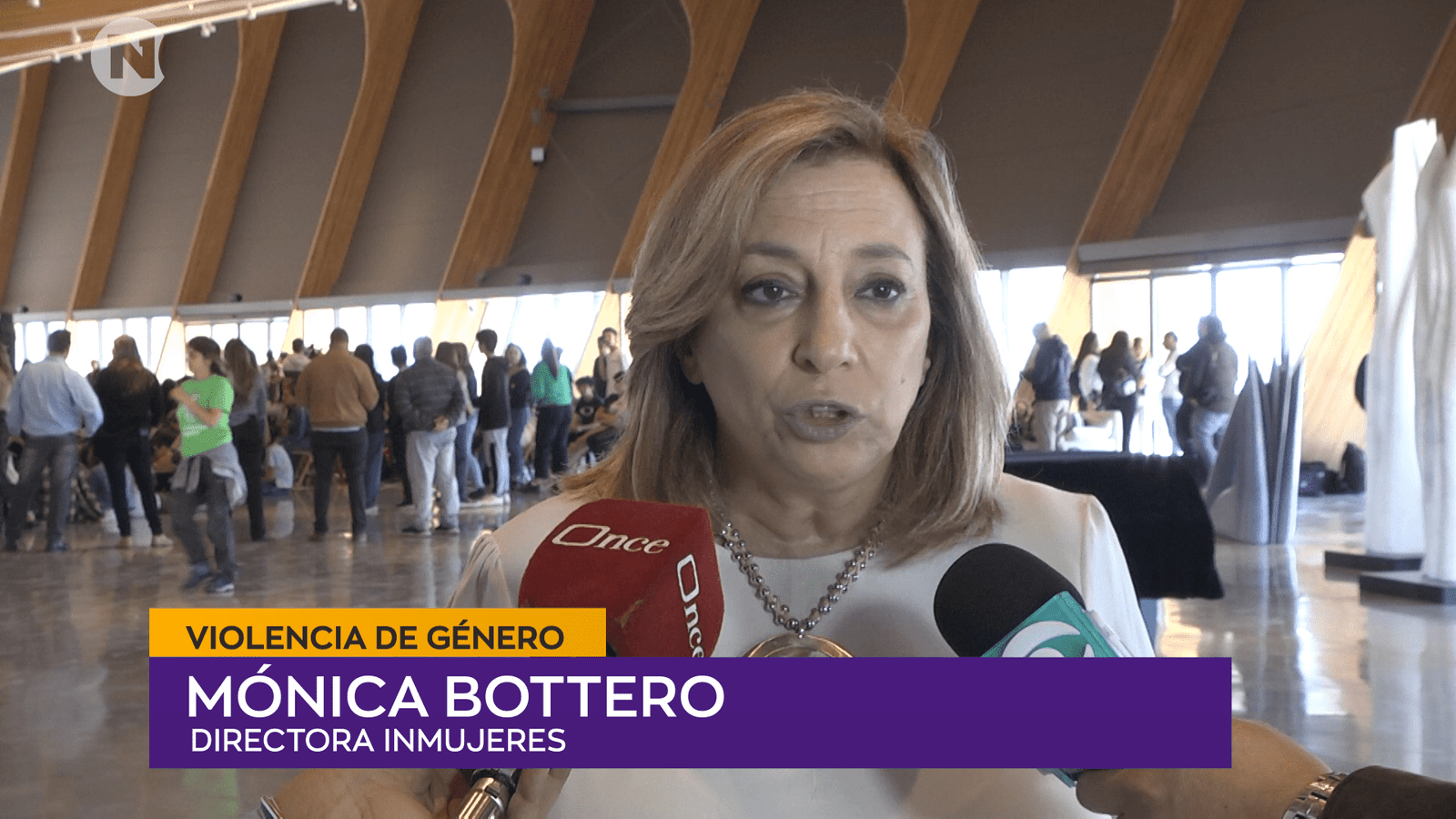 VIOLENCIA DE GÉNERO | Mónica Bottero – Directora Inmujeres. Los niveles ...