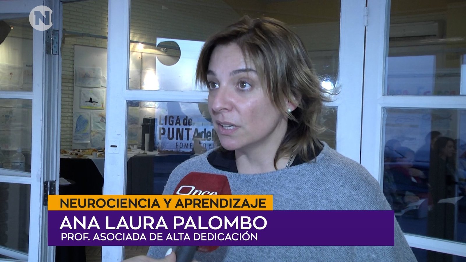 CHARLA “APRENDER A LEER Y ESCRIBIR, DE LA INVESTIGACIÓN AL AULA” | Ana Laura Palombo – Profesora ...