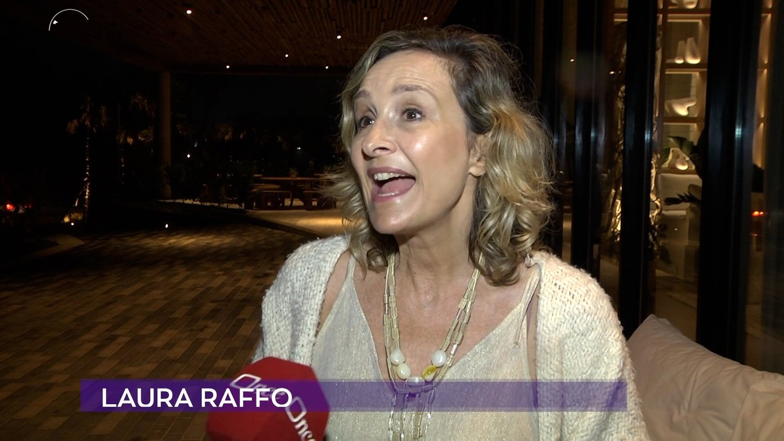 CENA ORGANIZADA POR EL DIPUTADO RODRIGO BLAS | Laura Raffo – Dirigente ...