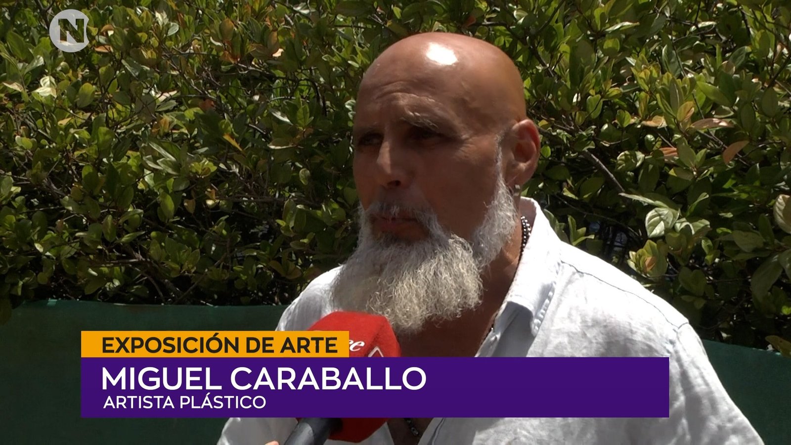 EXPOSICIÓN DE ARTE | Miguel Caraballo – Artista Plástico. Viernes 27/01 ...