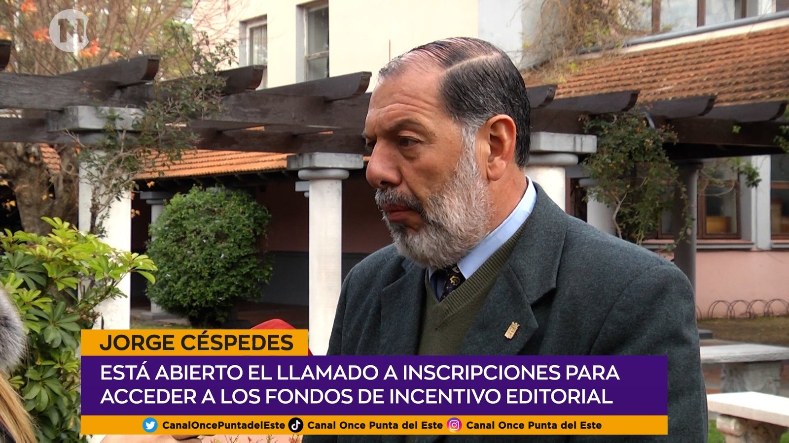 FONDOS DE INCENTIVO EDITORIAL | Jorge Céspedes – Director. Gral. De Cultura Intendencia De ...