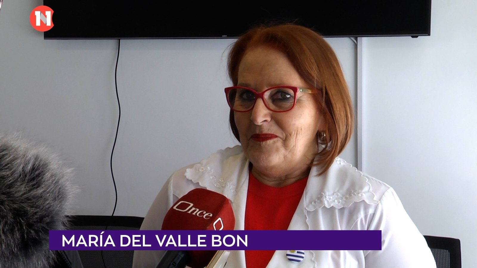 INCLUSIÓN Y ACCESIBILIDAD | María Del Valle Bon – Directora Escuela Nº ...