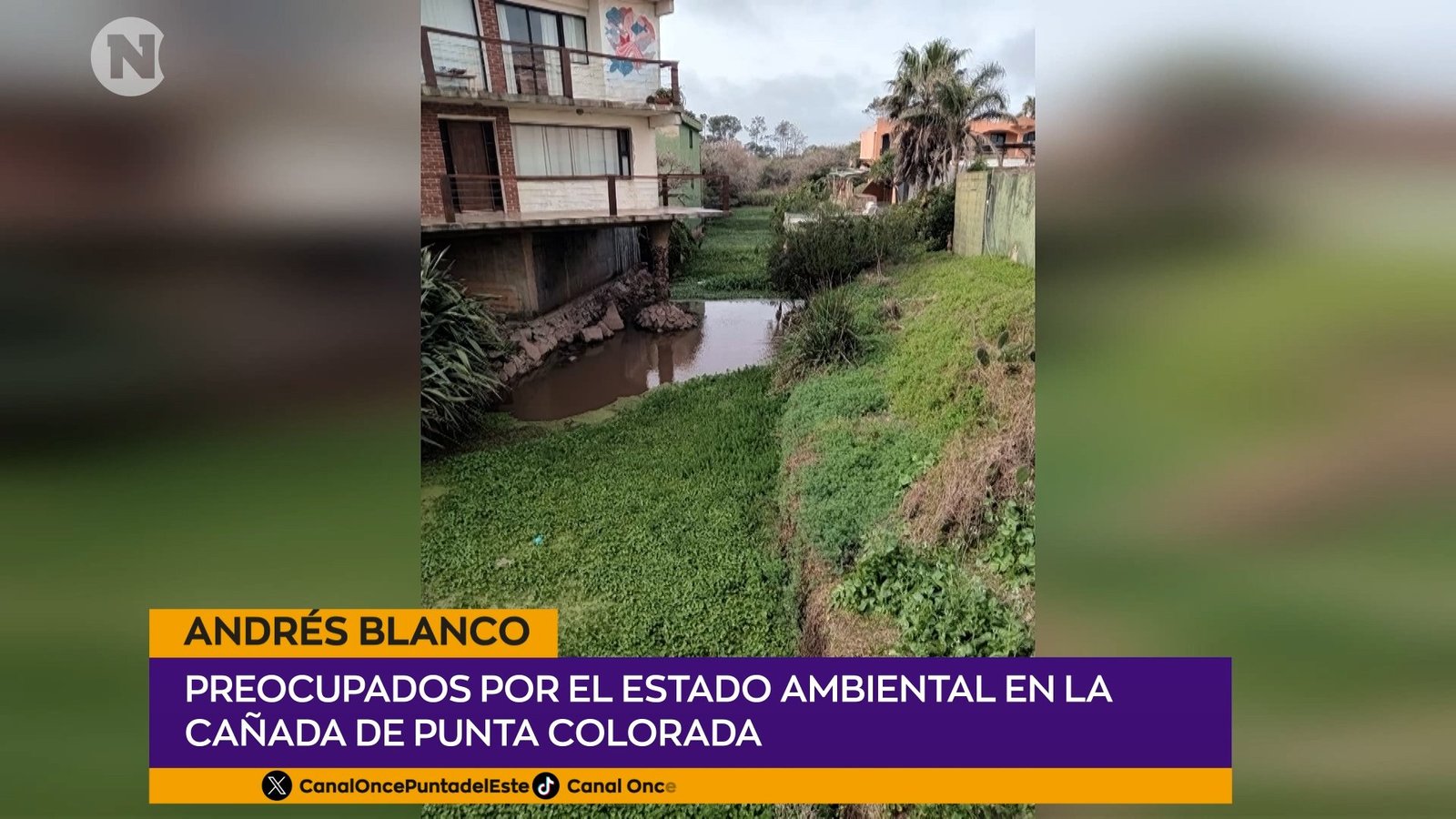 CAÑADA DE PUNTA COLORADA | Andrés Blanco – Asociación Civil Nativos de ...
