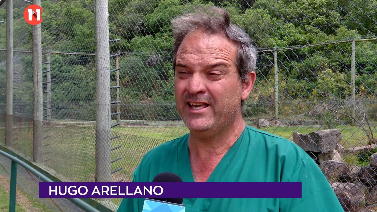 🐾 Hugo Arellano, Veterinario ECFA Falleció el puma más antiguo de la ...