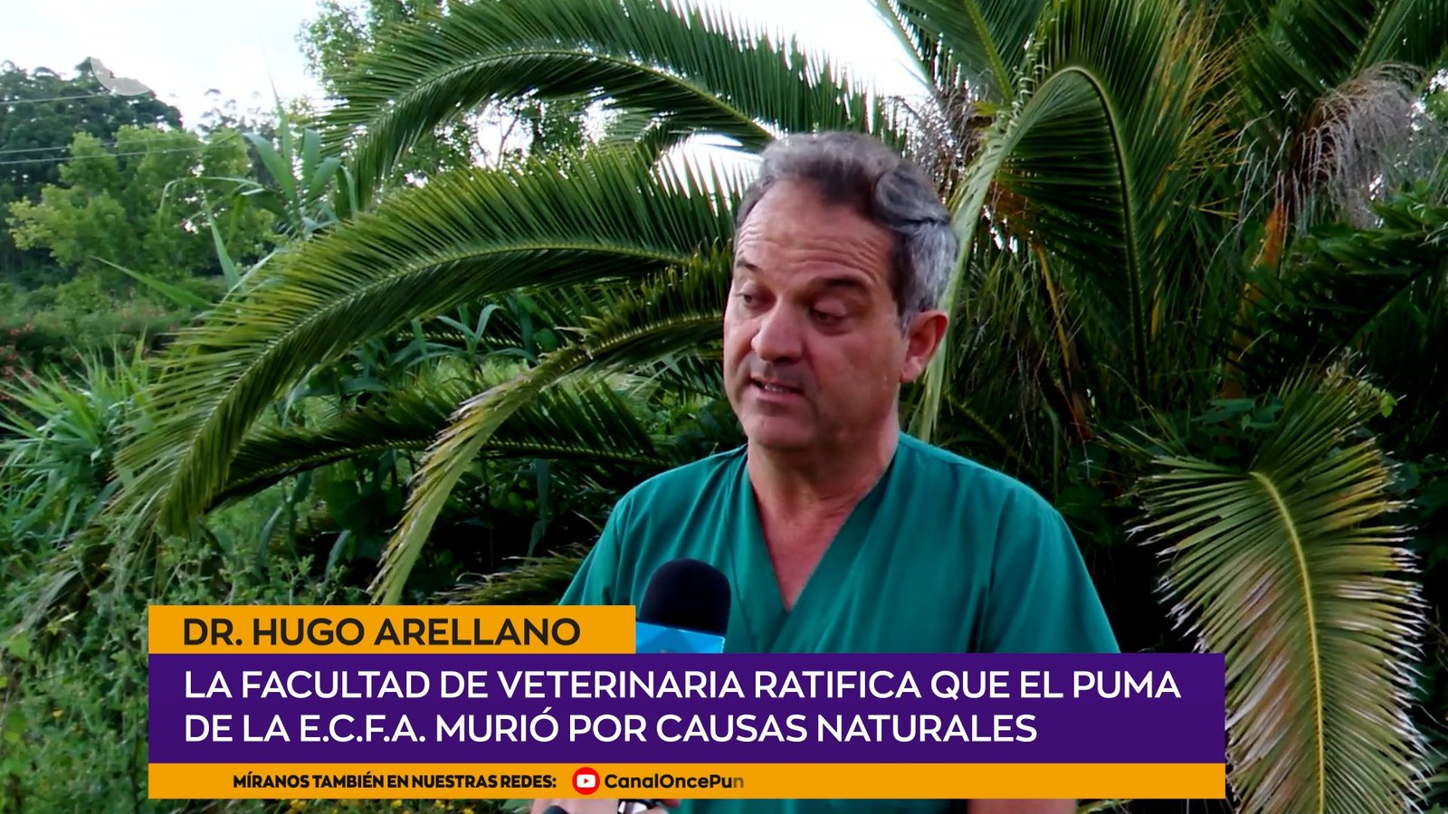 🐾 Fauna | Hugo Arellano 📋 La Facultad de Veterinaria ratifica que el ...