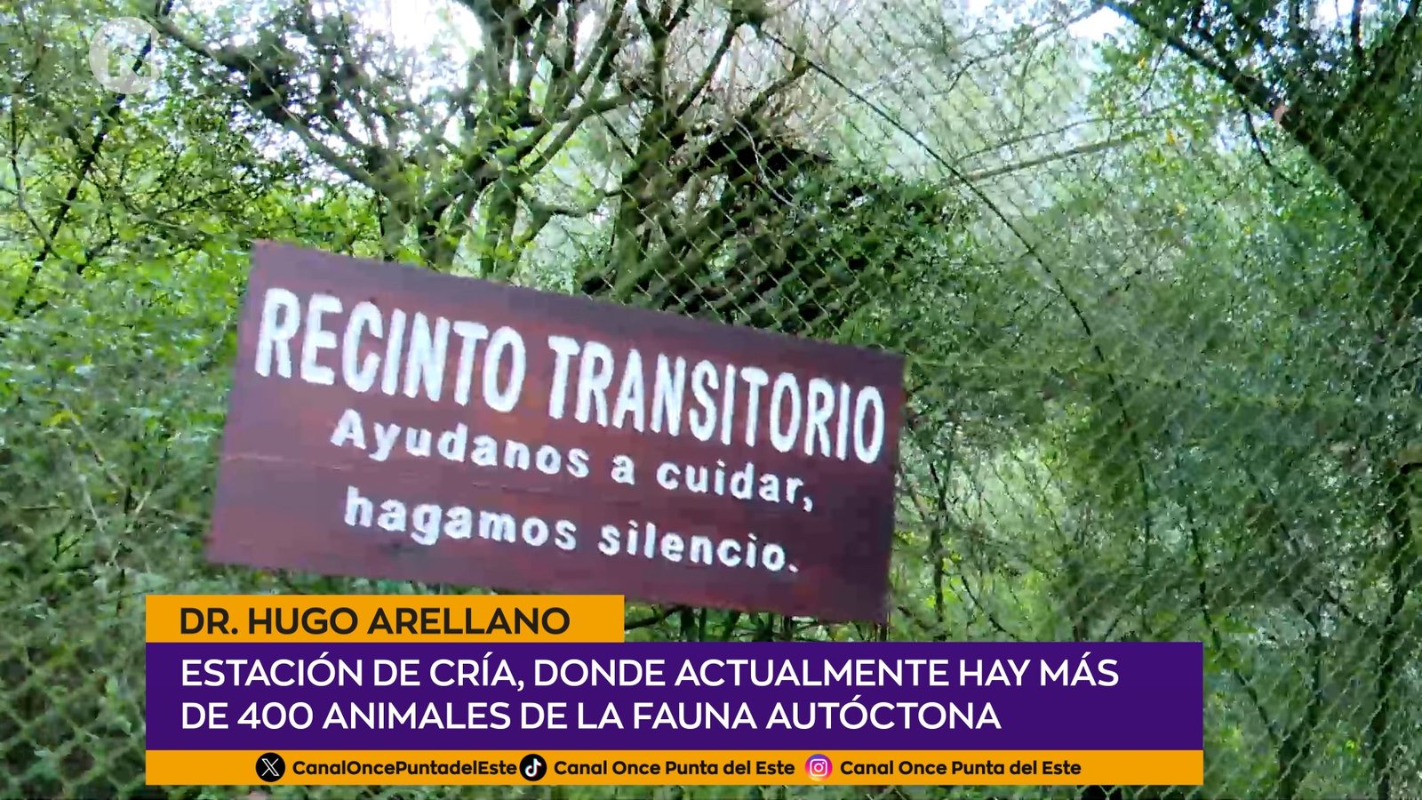 🐾 Fauna | Hugo Arellano 🌿 El veterinario de la Estación de Cría de ...