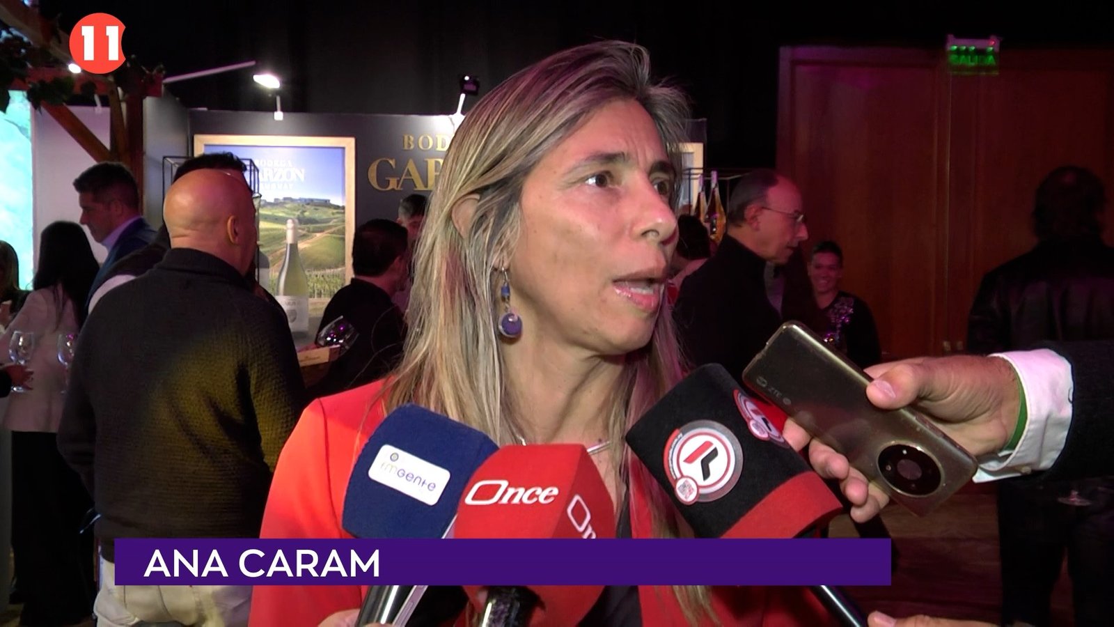 🏛️ Ana Caram 🌐 Subsecretaria de Turismo 🗣️ «Es como tomar la posta y ...